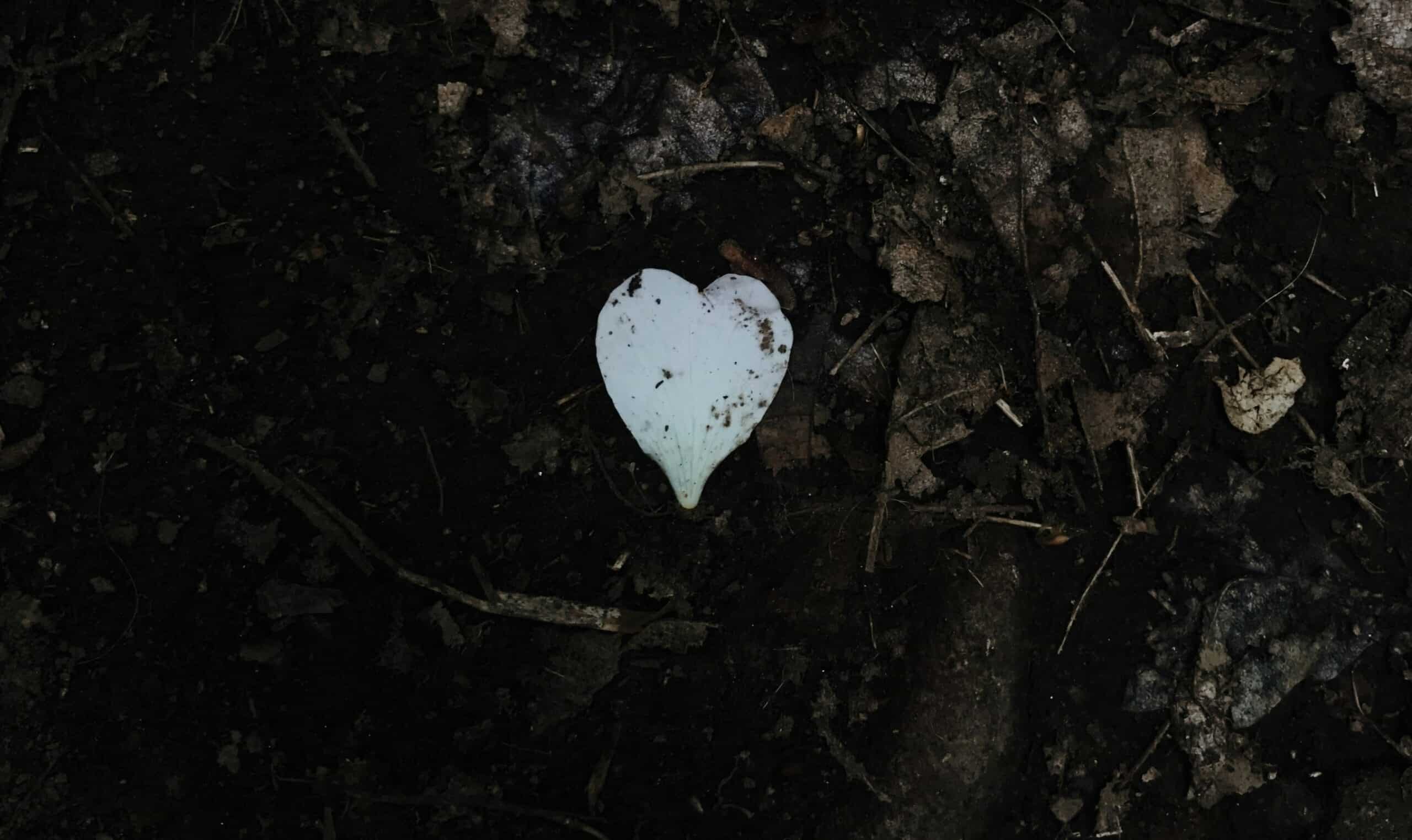 Leading Without Losing Heart | New Churches
